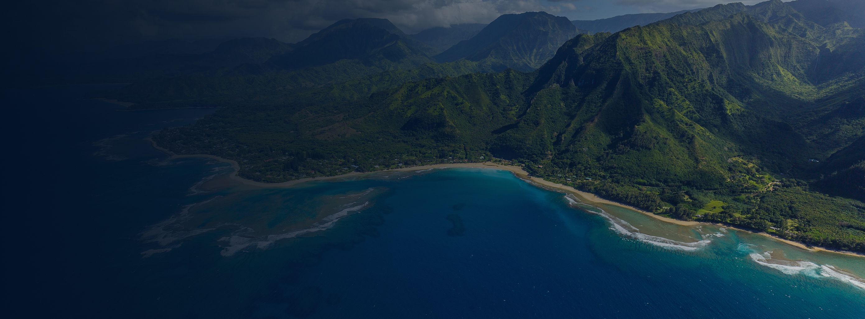 Artificial Reefs & Blue Carbon
