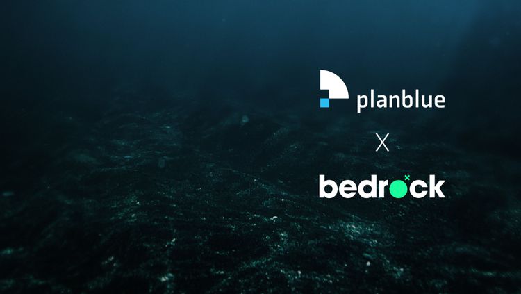 Bedrock and PlanBlue form strategic alliance to advance high-resolution ...
