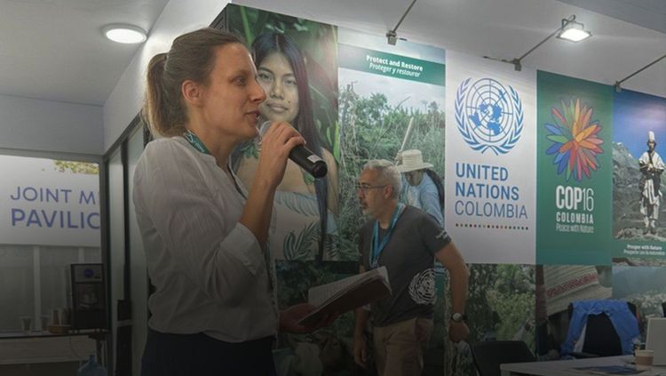 Outcomes from COP16 and Future Contributions from PlanBlue