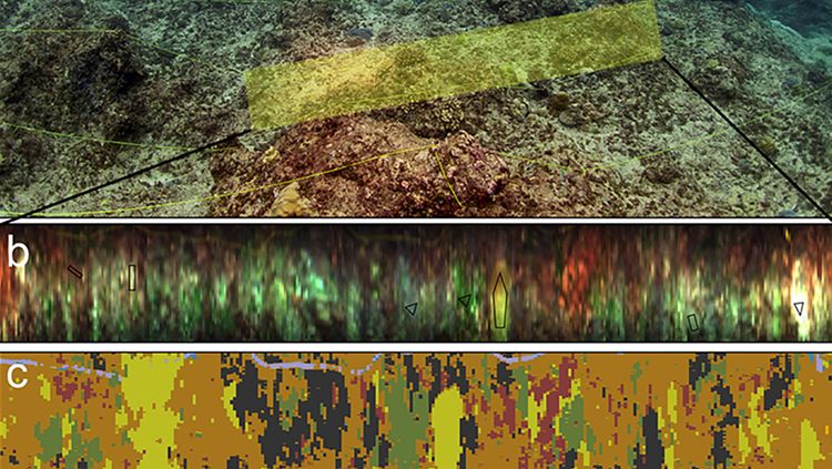 PlanBlue’s technology increases insights on coral reef transition
